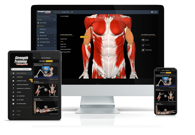 Strength Training by Muscle and Motion | The anatomy & Biomechanics of ...