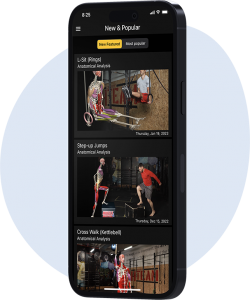 Strength Training by Muscle and Motion | The anatomy & Biomechanics of ...