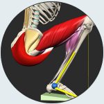 Strength Training app Updates | watch the newest videos, Exercises with ...