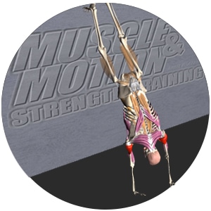 Wall Walk Exercise Guide | Benefits, Anatomy & Muscles Worked