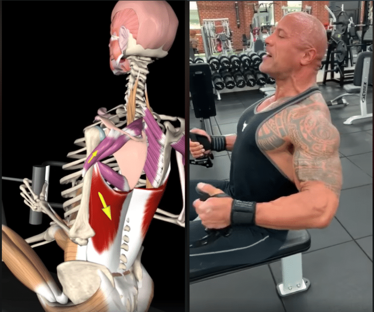 Dwayne "The Rock" Johnson | Strength Training With Muscle & Motion