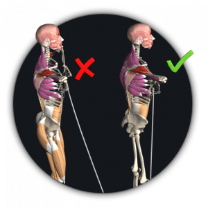 Wall Walk Exercise Guide | Benefits, Anatomy & Muscles Worked