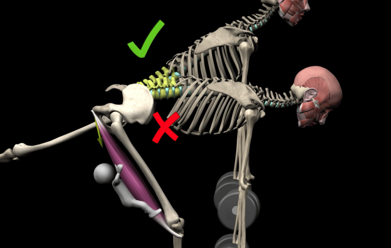 Single-Leg Hip Hinge | Glutes, core & stability (Full anatomical analysis)