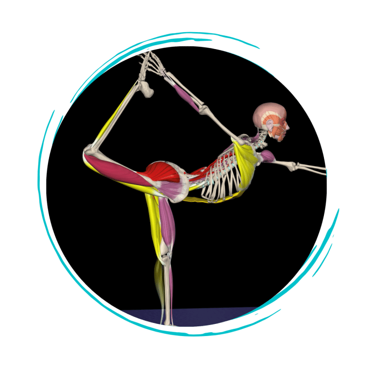 Posture App with 3D Videos | Postural Disorders, Treatment, Tests, Etc.