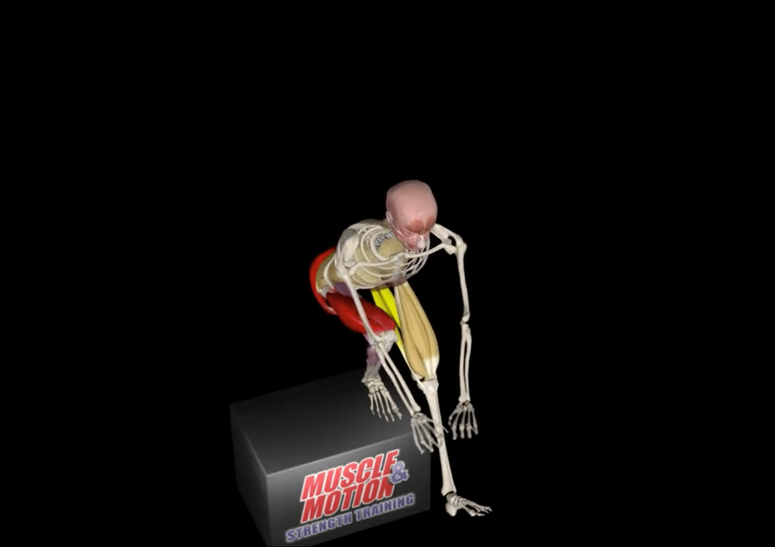 The Anatomy of The Pistol Squat | How to get a Pistol Squat, Step by Step