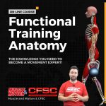 The anatomy and biomechanics of movement!