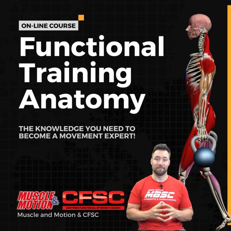 The anatomy and biomechanics of movement!