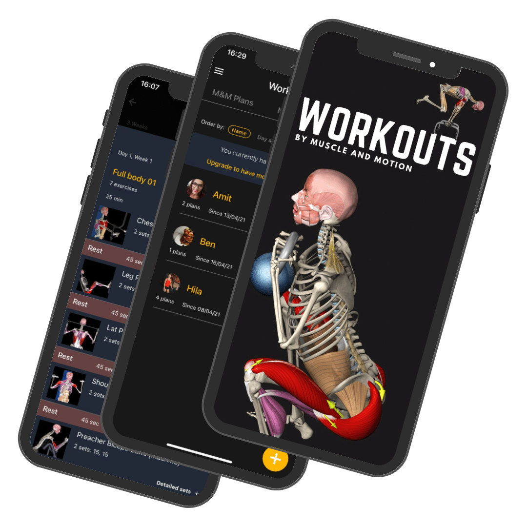Strength Training App | The anatomy & Biomechanics of Exercises in 3D