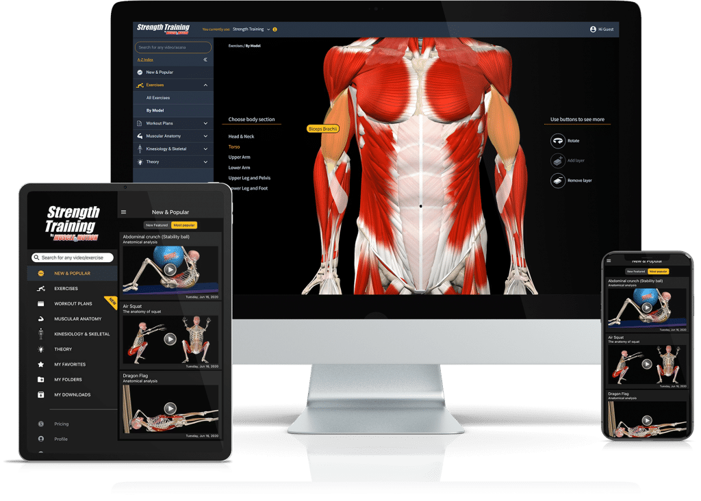 Create Customized Science-Based Workout Plans