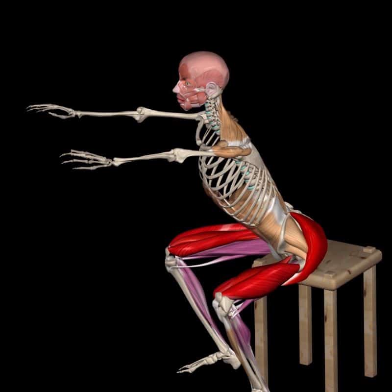 Functional Strength Training | Muscle and Motion Blog