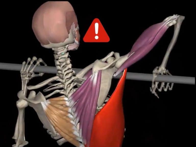 Strength Training Anatomy | the anatomy behind strength