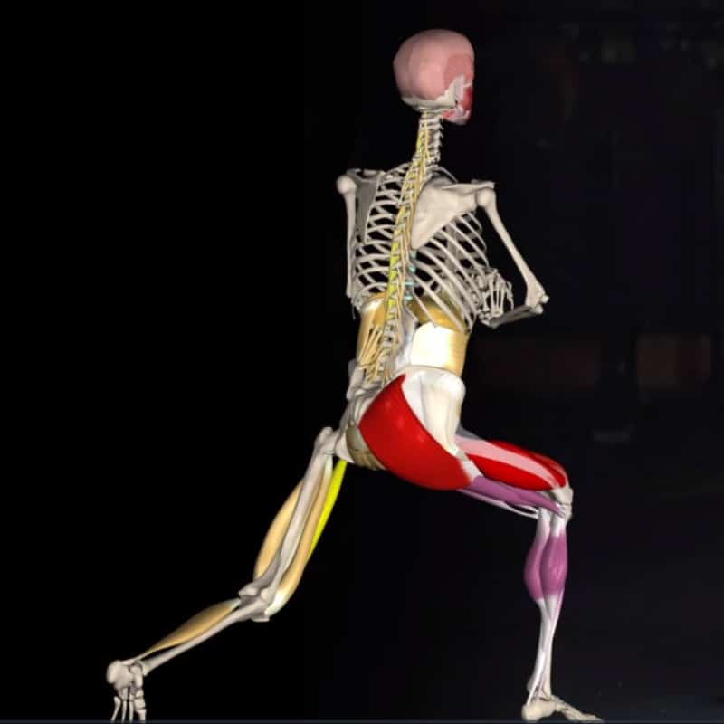 Effective Lunge Variations - Blog