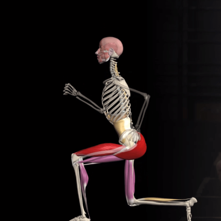 How to Lunge: A Complete Guide | Muscle and Motion BLOG