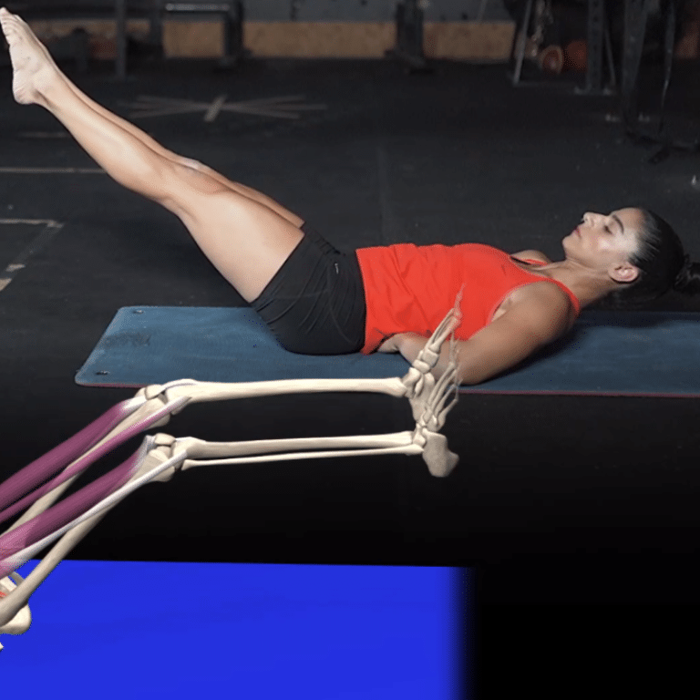 The Supine Leg Raise exercise | Muscle and Motion blog article