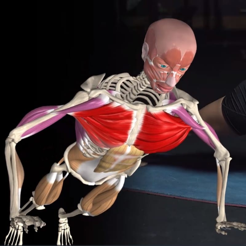 3 Push-Up Exercises with Extra Core | Muscle&Motion - Strength Training ...