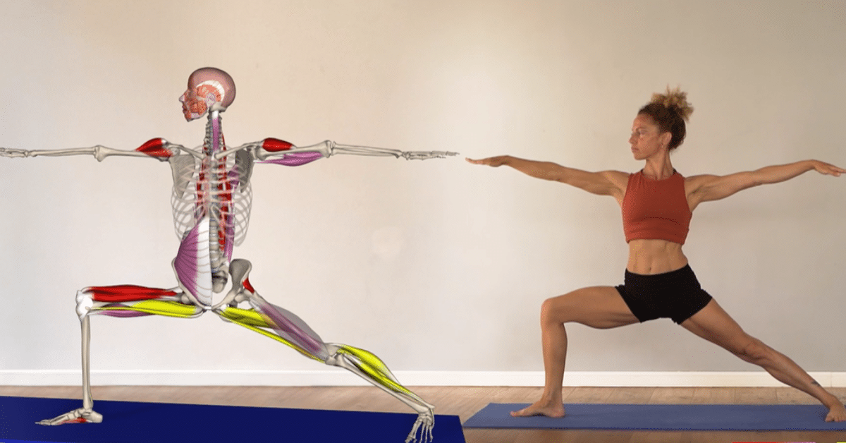 Yoga Therapy: A Rehabilitation Tool | Muscle&Motion - Strength Training ...