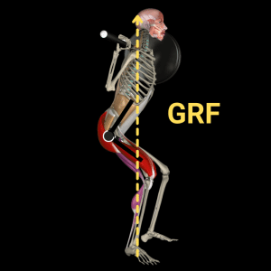 Ground Reaction Force | Muscle and Motion | Blog