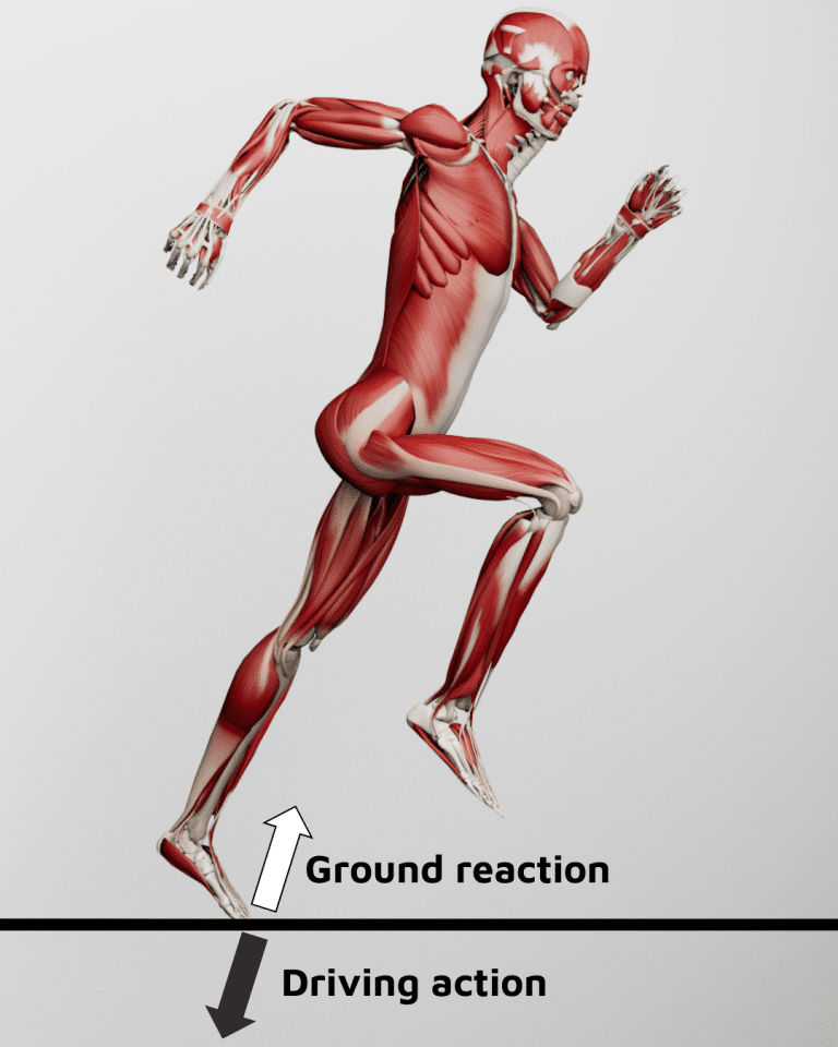 Ground Reaction Force | Muscle and Motion | Blog