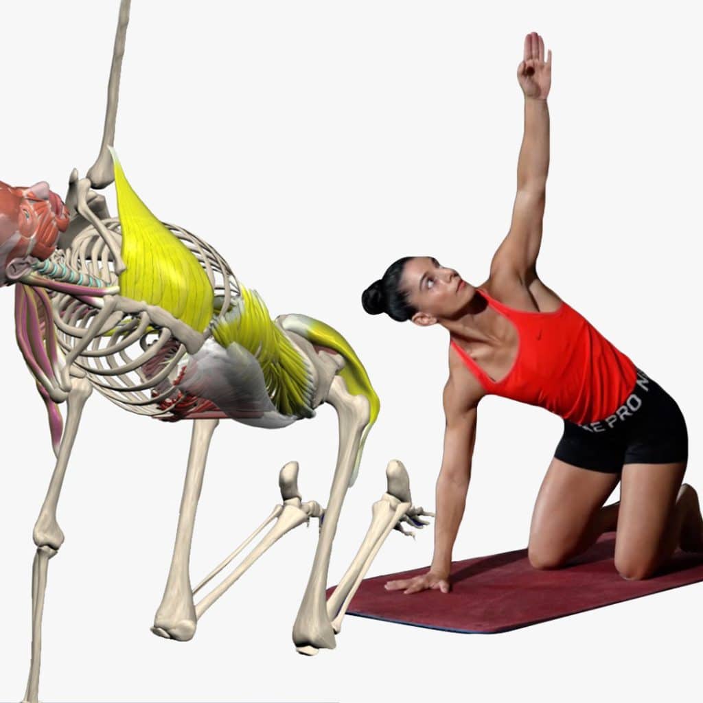 How Exercise Influences Health and Well-Being | Muscle&Motion ...