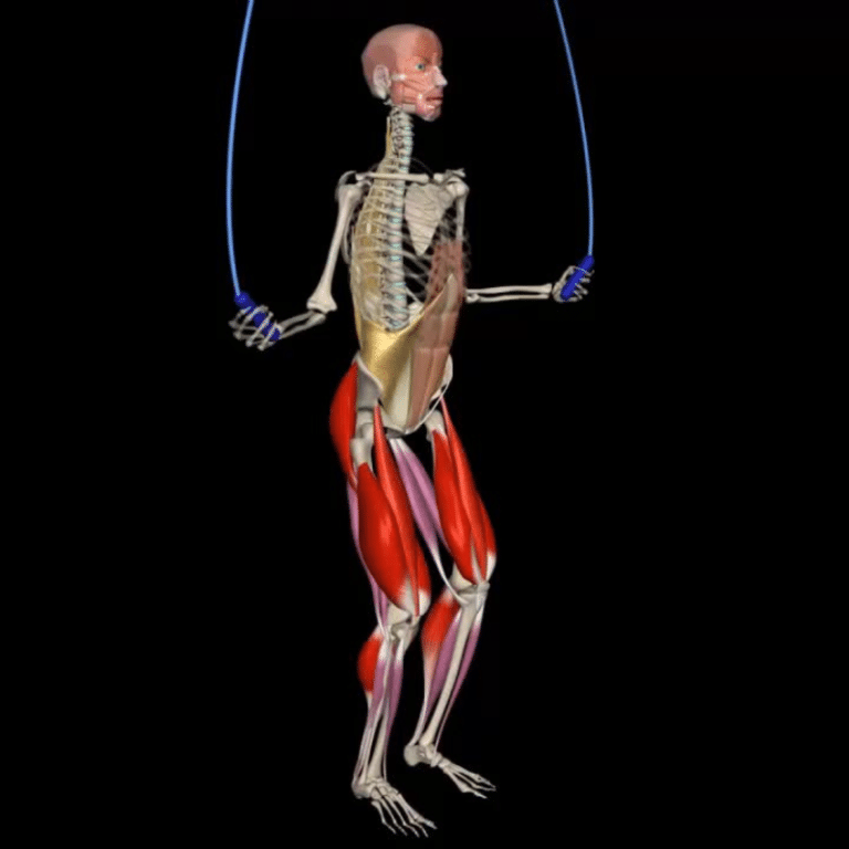 Exercise Science | Blog | Muscle and Motion