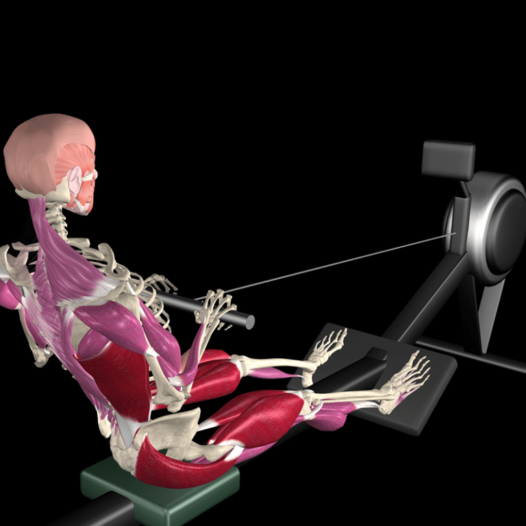 Mastering the Rowing Machine: A Comprehensive Guide