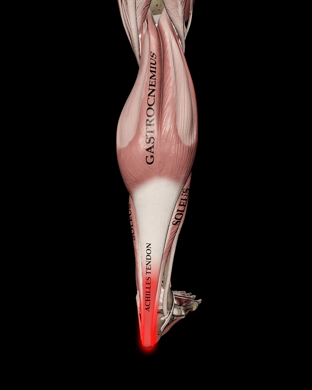 How To Prevent Overuse Injuries: 9 Tips | Muscle and Motion official