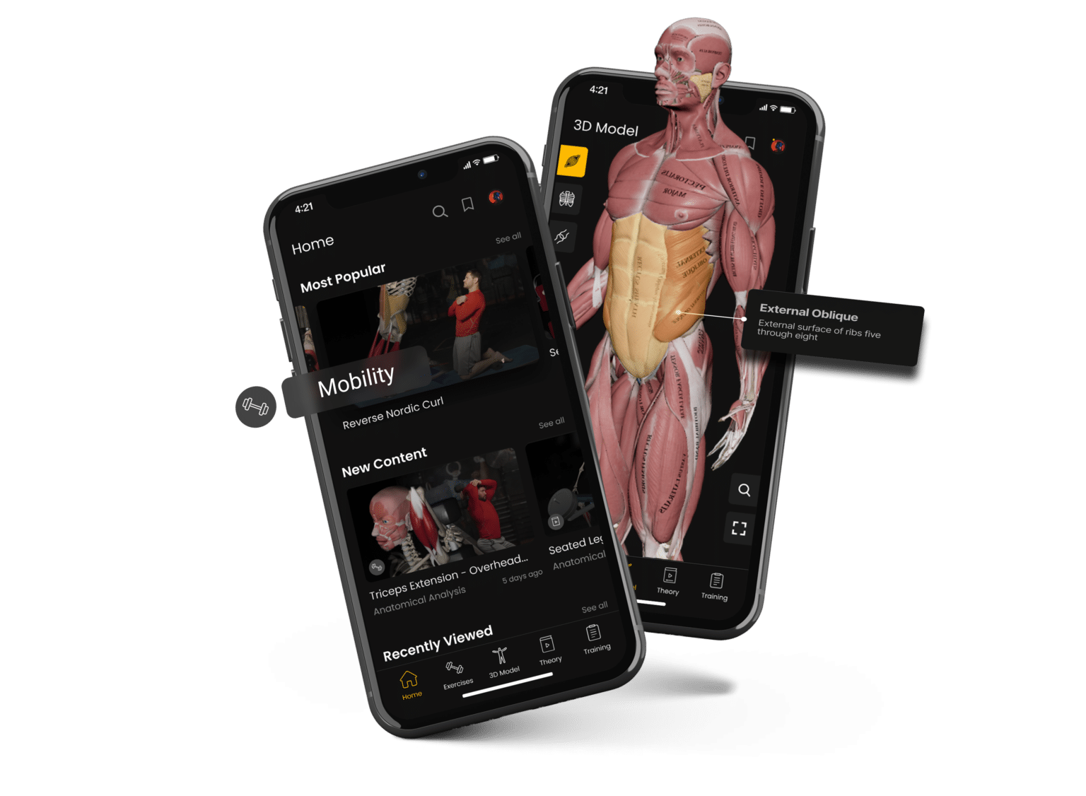 Get an Inside View of the Anatomy & Biomechanics of Movement