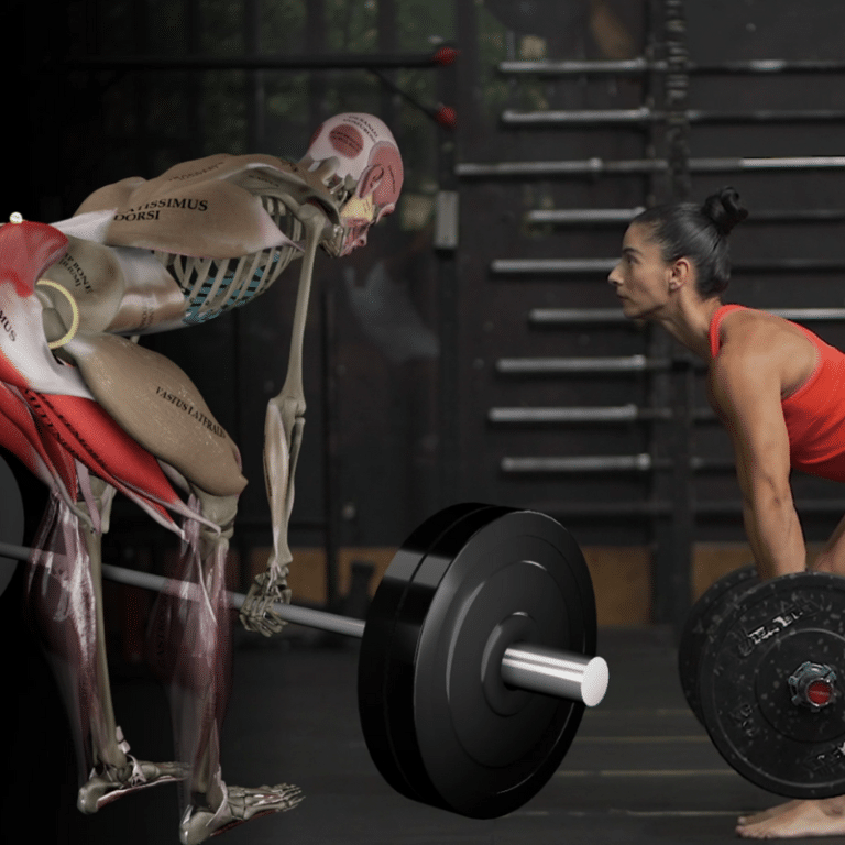 Essential Beginner’s Strength Training Workouts for Women | Muscle ...