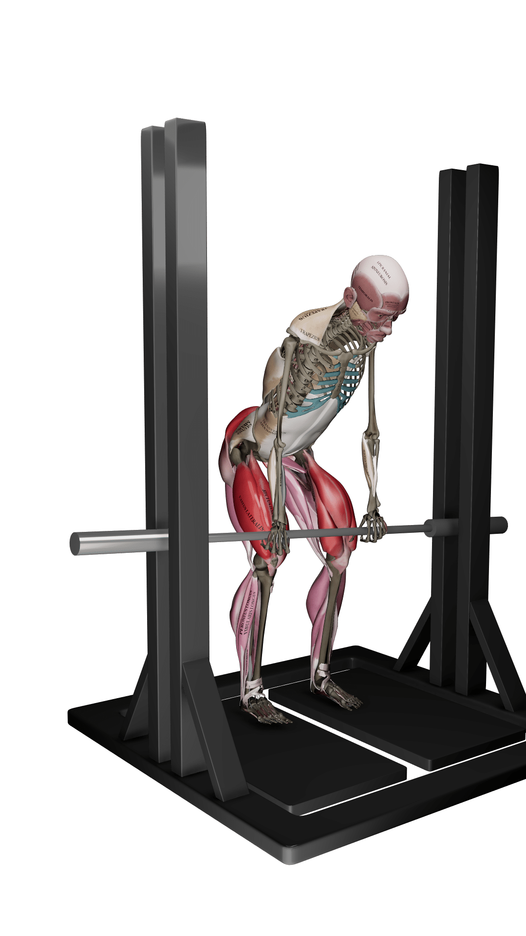 Understanding Strength: A Deep Dive into Its Types and Foundations