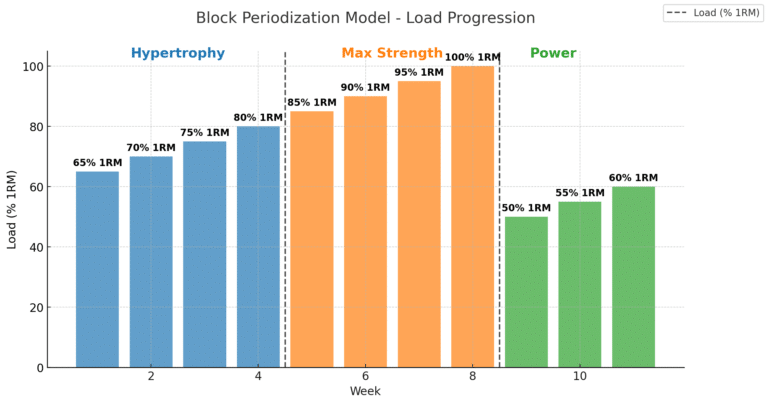 Periodization in Training: Unlocking Peak Performance | Official Blog