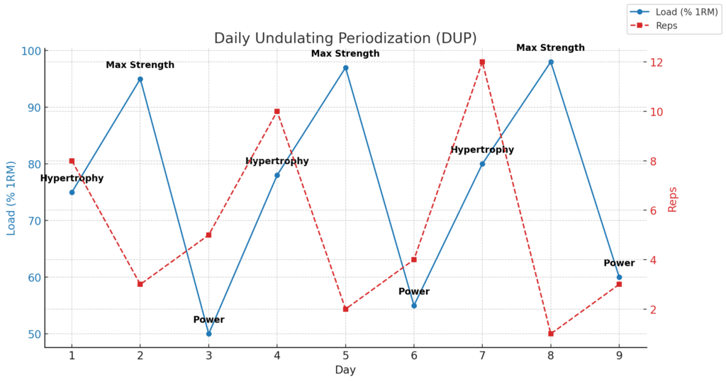 Periodization in Training: Unlocking Peak Performance | Official Blog