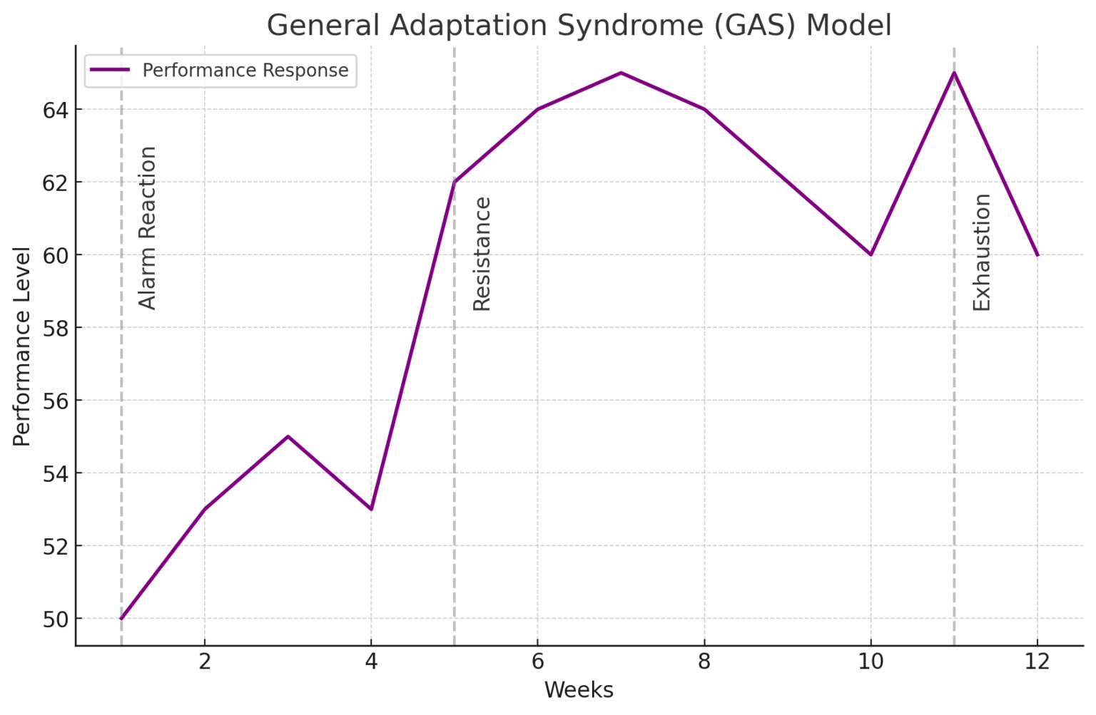 Periodization in Training: Unlocking Peak Performance | Official Blog