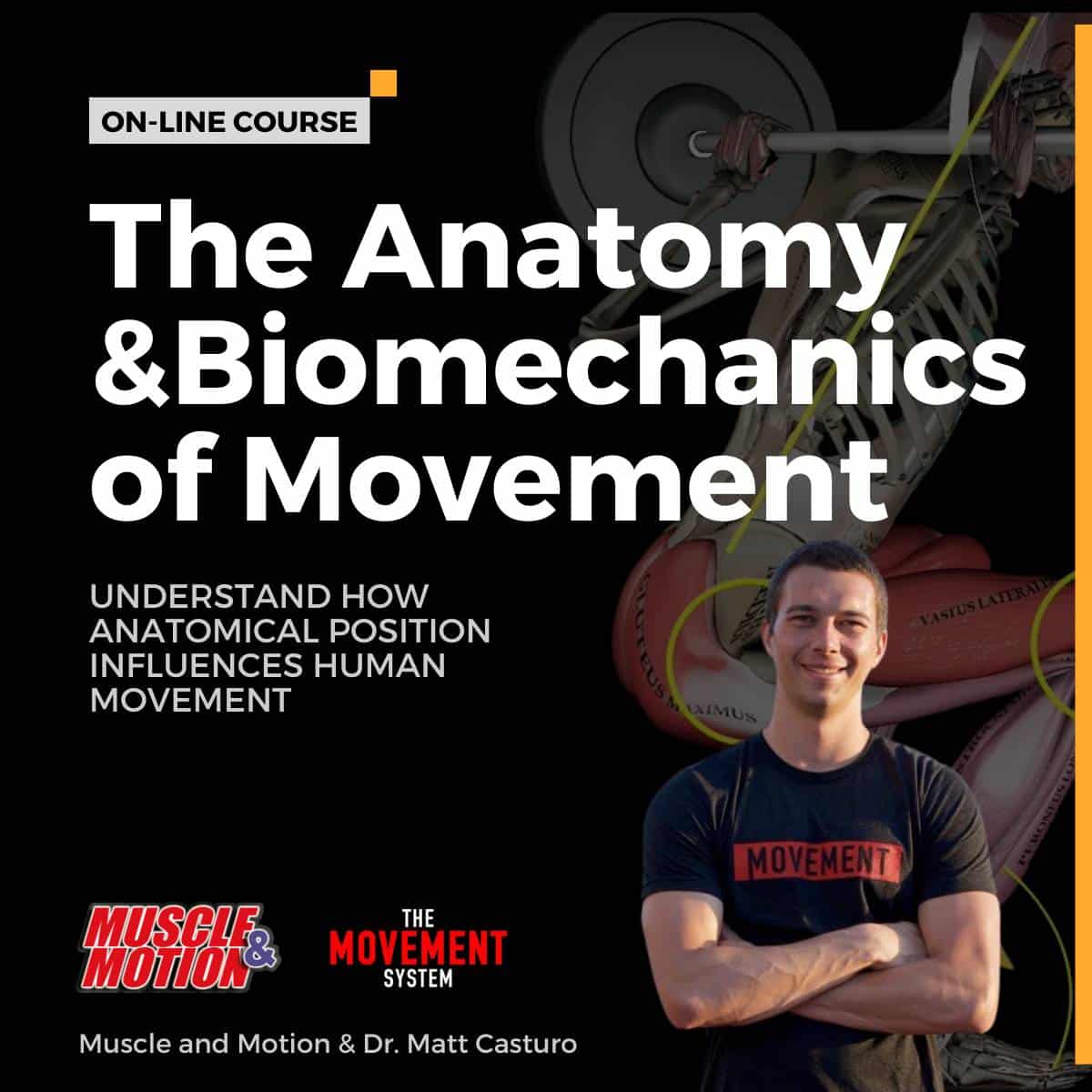Anatomy and Biomechanics of Movement Online Course